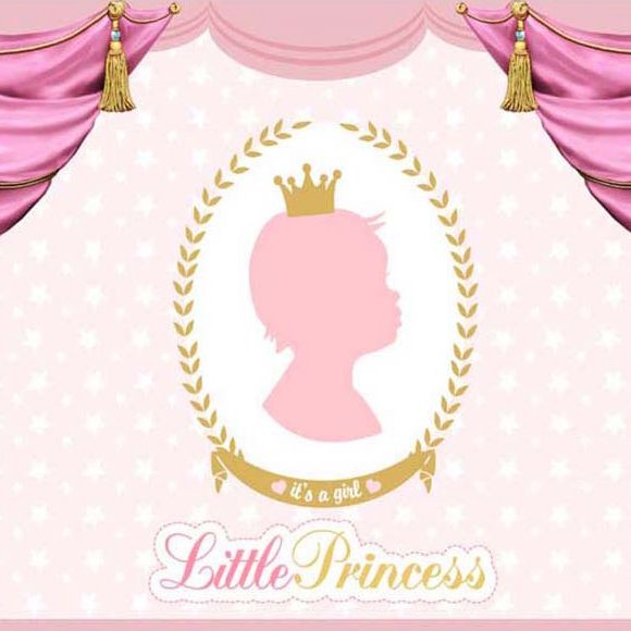 Baby Shower Photography Backdrops Little Princess Pink Curtain White ...