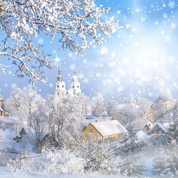 Nature Photography Backdrops Snowflakes Village Snow Blue Sky Trees ...