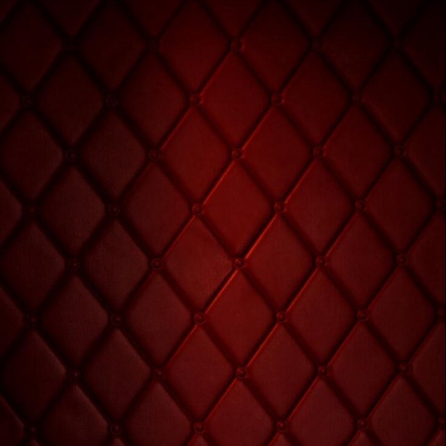 Photography Background Wine Red Tufted Black Backdrops For Photo Studio