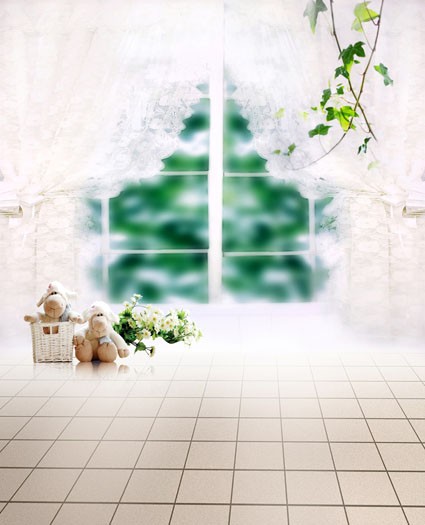 Door Window Photography Backdrops White Window Curtains Floor Background