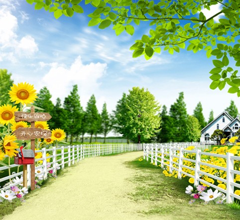 Nature Photography Backdrops Sunflower Blue Sky Tree Background