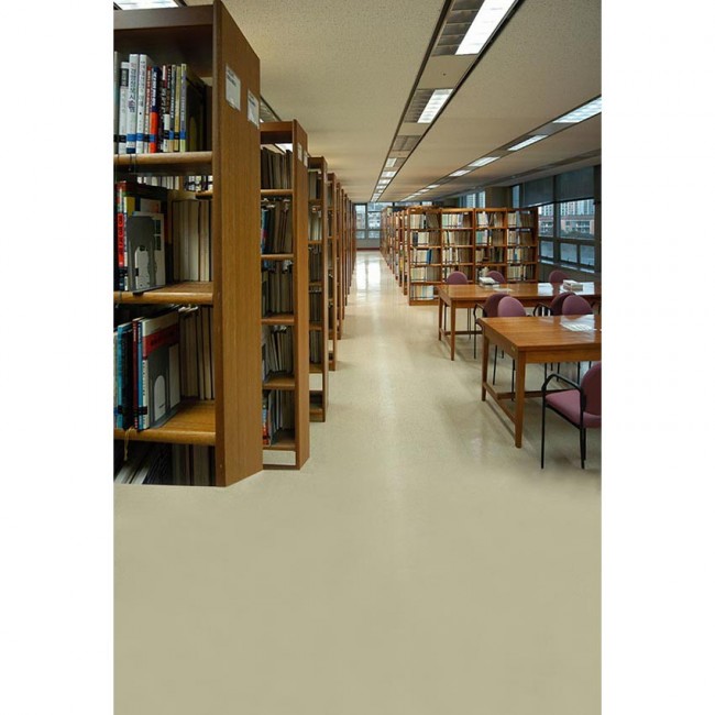 Back To School Photography Backdrops Library Background For Photo Studio