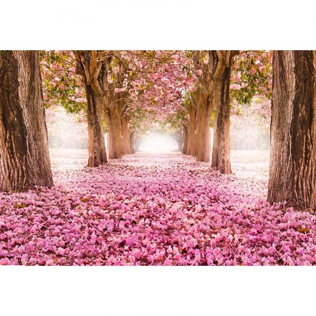 Flowers Photography Backdrops Trees Pink Flower Corridor Background For ...