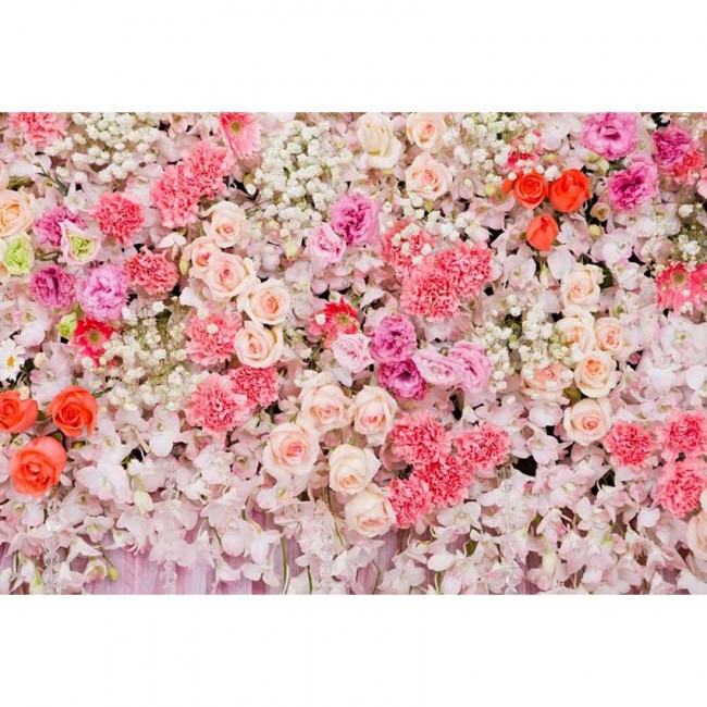 Flowers Photography Backdrops White Red Roses Flower Wall Background ...