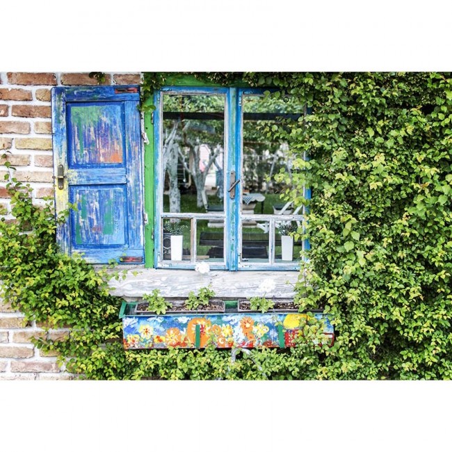 Door Window Photography Backdrops Dilapidated Blue Window Greenery ...