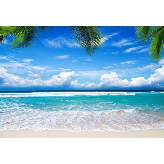 Beach Photography Backdrops Blue Sky Waves Background