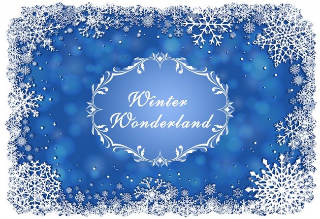 Elegant Winter Wonderland Background