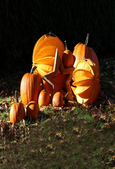 Thanksgiving Day Photography Backdrops Pumpkin Grassland Background