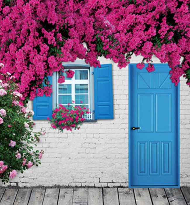 Door Window Photography Backdrops Purple Flowers Blue Door Window ...