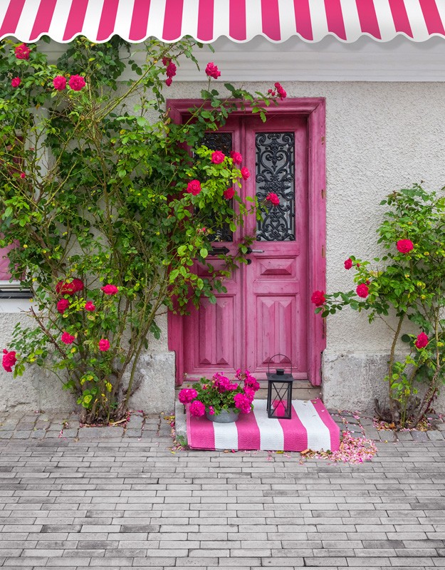 Door Window Photography Backdrops Pink Door Greenery Brick Floor Background