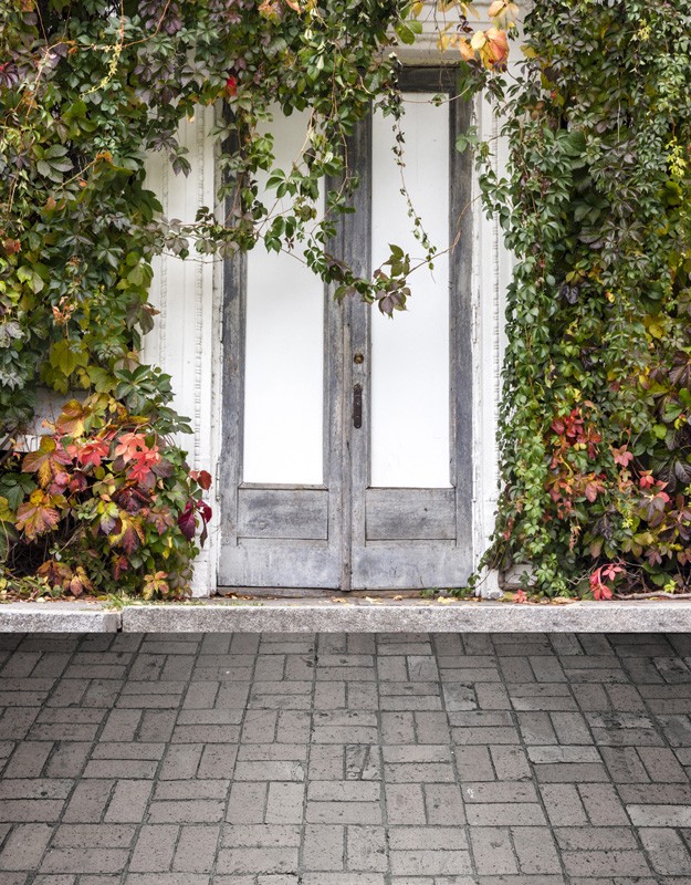 Door Window Photography Backdrops White Door Brick Floor Ivy Background