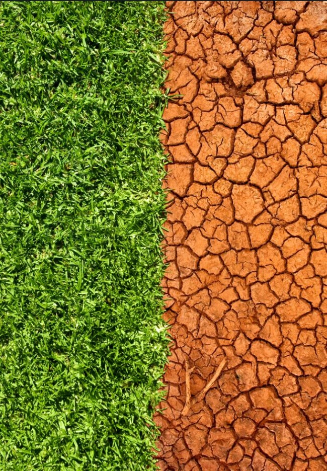 Green Lawn Photography Backdrops Abstract Dry Ground Background