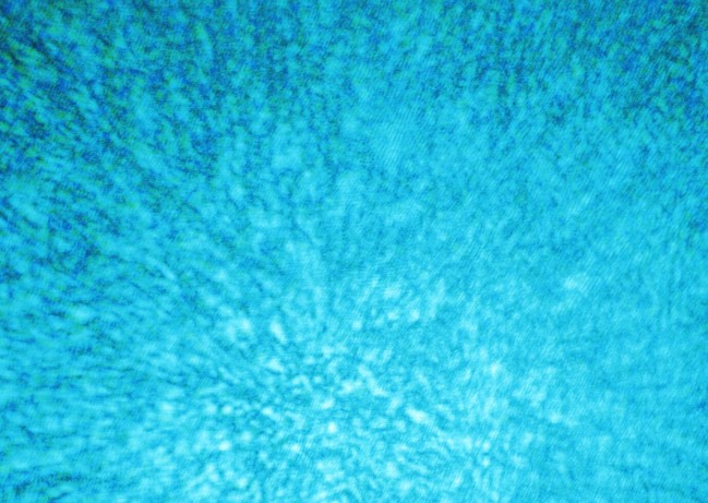 Blue White Spots Photography Background Fuzzy Texture Style Backdrops