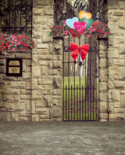 Photography Background Stone Wall Flowers Street View Backdrops