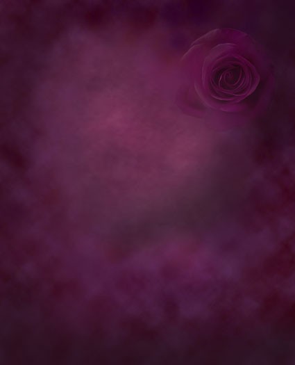 Photography Backdrops Fuchsia Rose Old Master Background Photo Studio