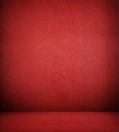 Photography Backdrops Red Carpet Background For Photo Studio