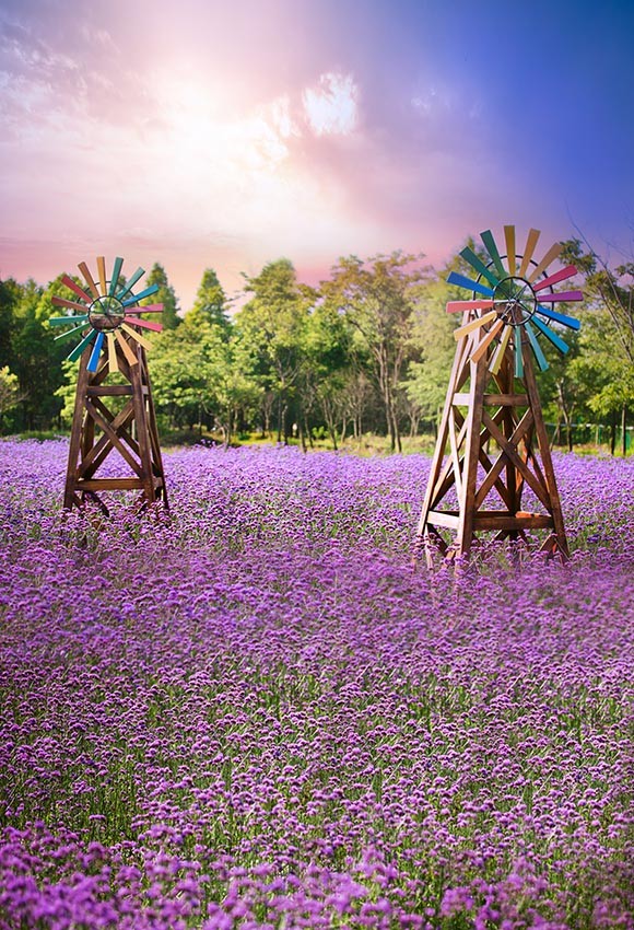 Photography Backdrops Windmill Lavender Sunset Tourist Background