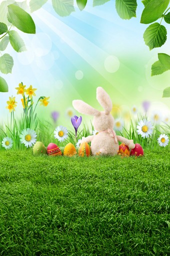 easter bunny backdrops